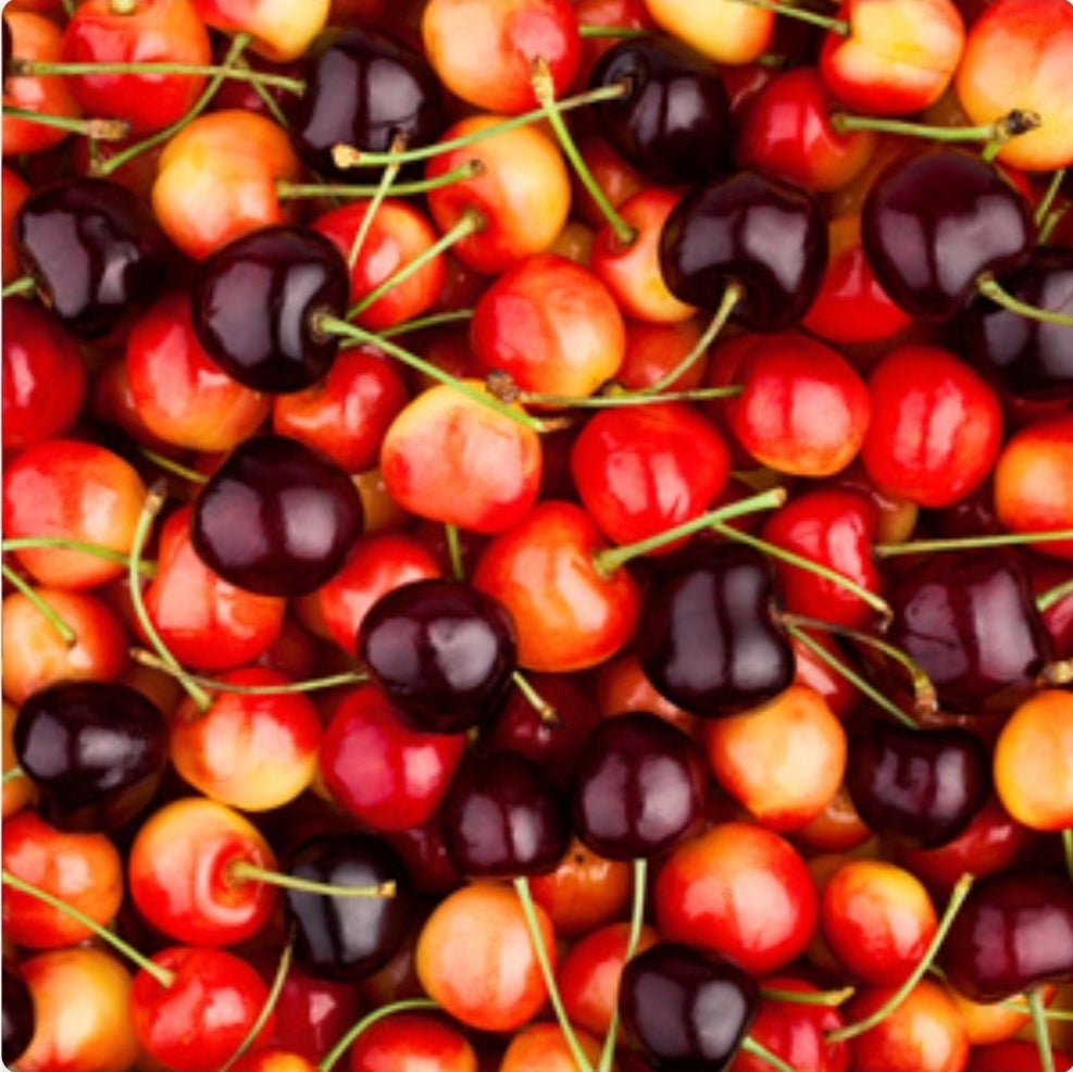 'Prunus' 3 Way Combination Cherry Tree | canadiantreenursery.com